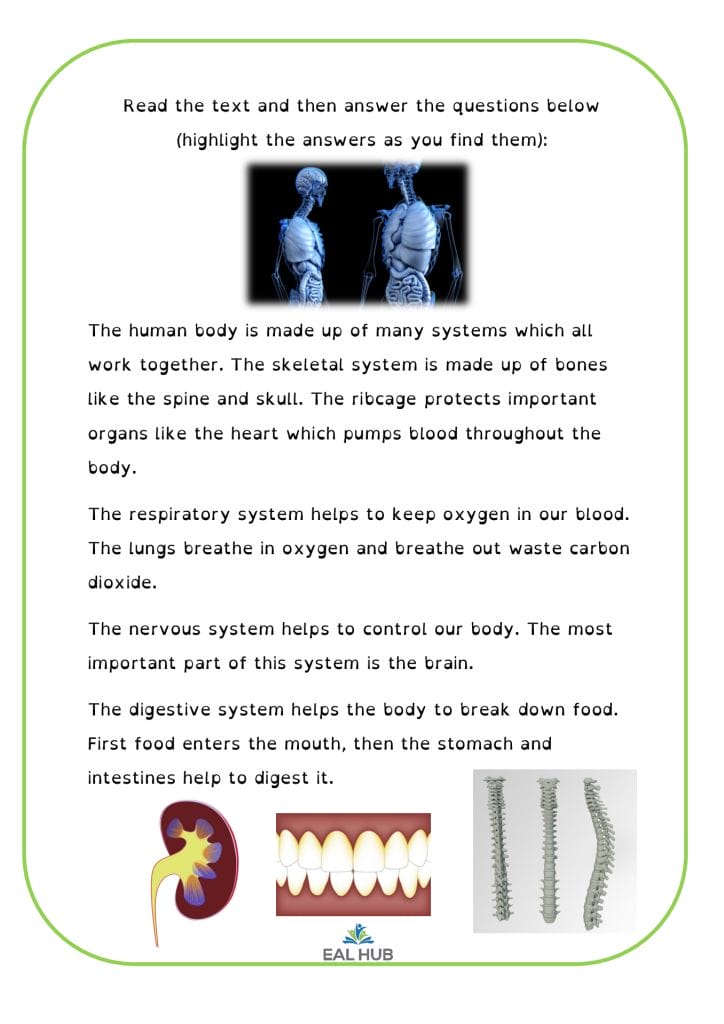 Human Body Comprehension – EAL Hub
